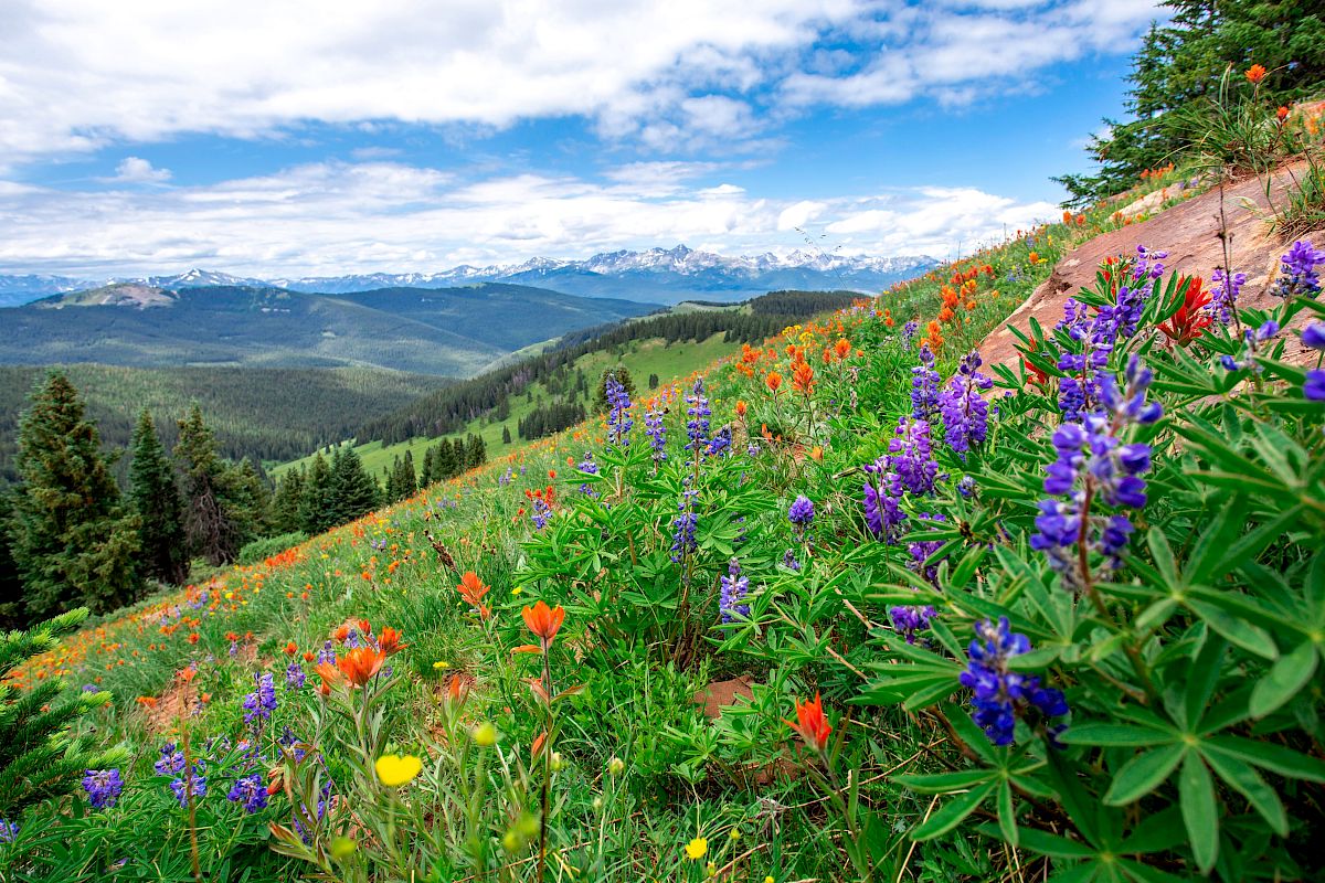 Ultimate Three-Day Getaway in Vail During Summer